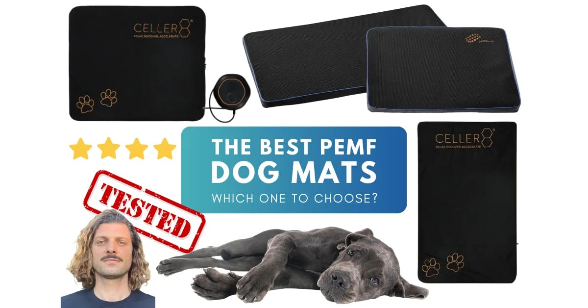 Best PEMF Mats for Dogs: Complete Buyer's Guide (Jan 2026)